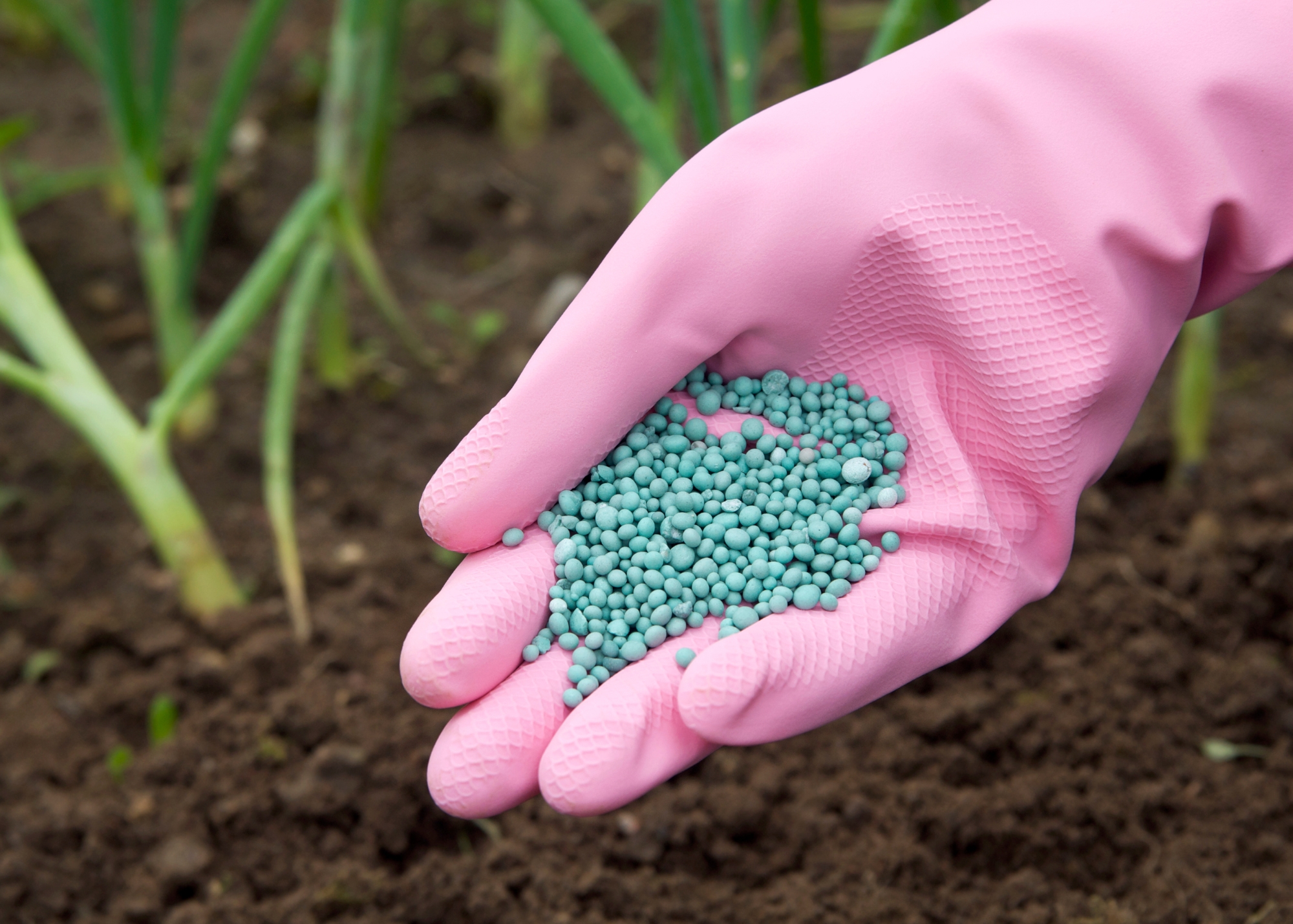 Potash on the Critical List: Fertilizer, Food, and National Security ...